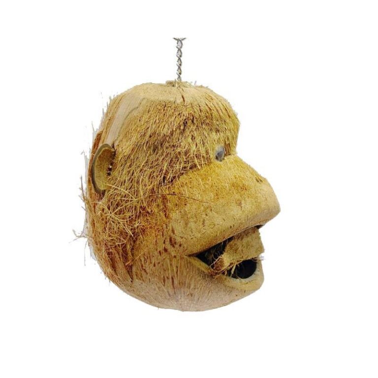 Coco monkey - Cool Parrots